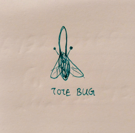 Our Story – A Τote Βug